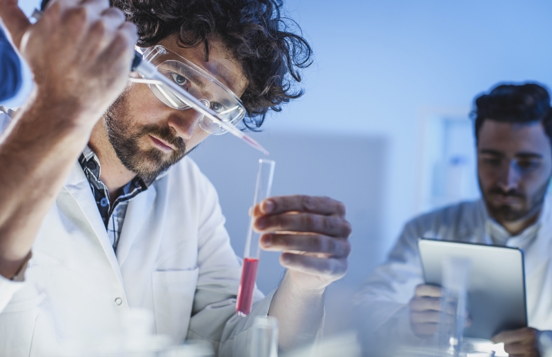 Environmental Science | Arizona Environment