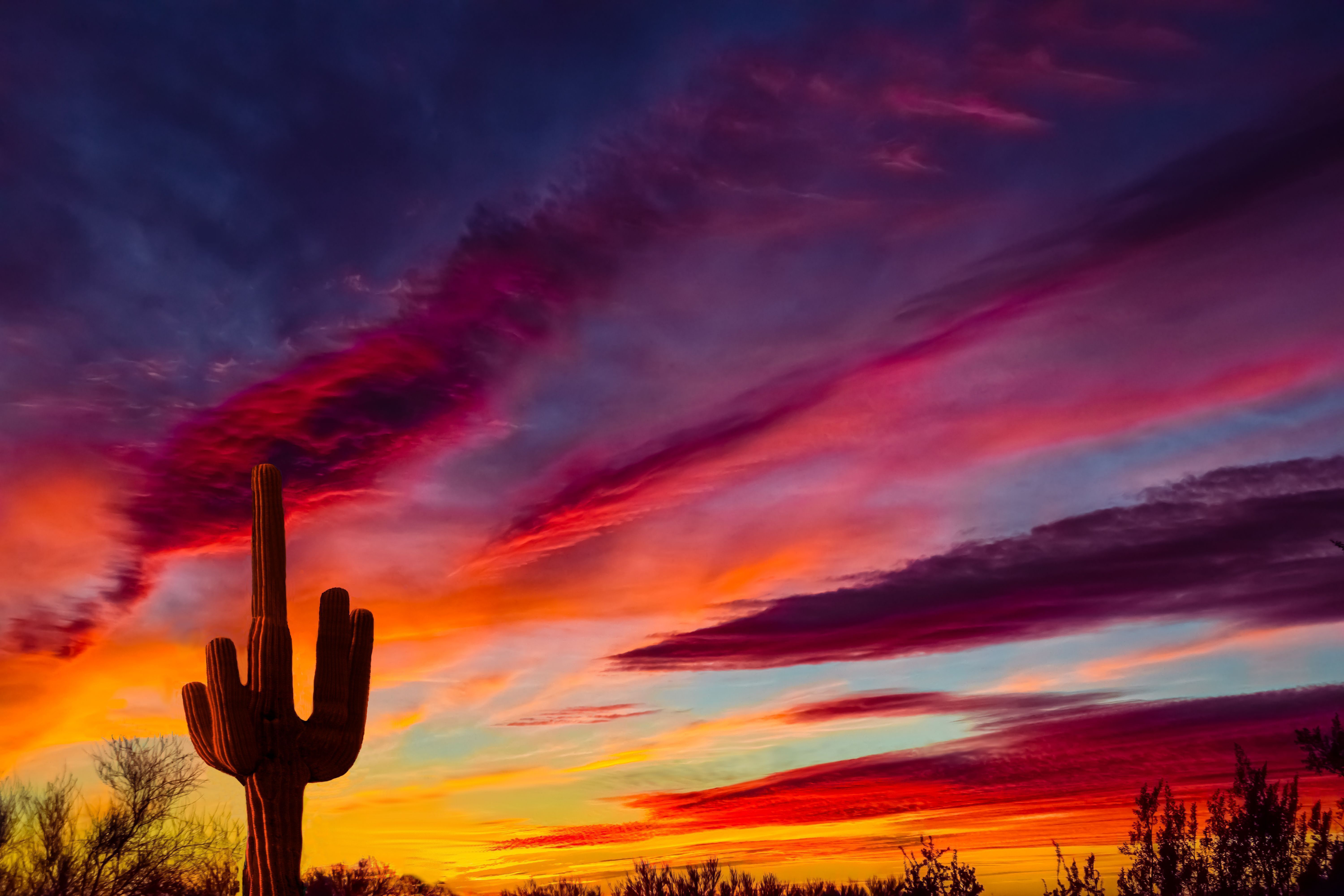 2024-2025: A Year of Environmental Milestones | Arizona Environment
